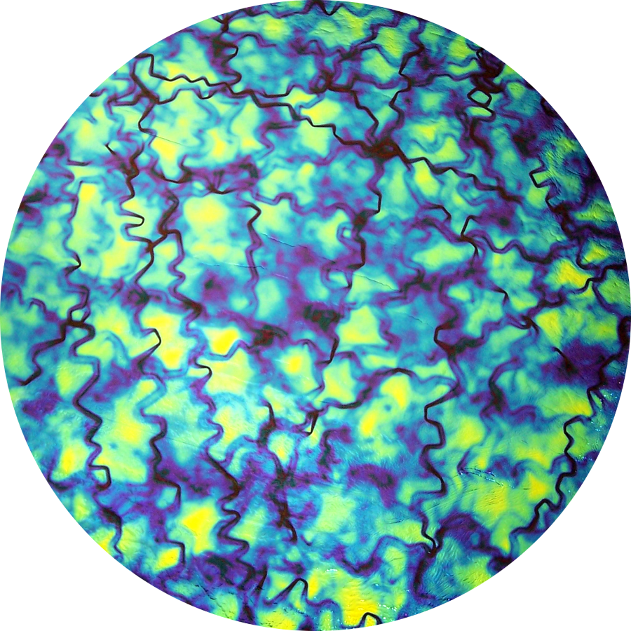 CBS Dichroic Blue Gold Fusion Pattern on Thin Black Glass COE90 - COE90 CB